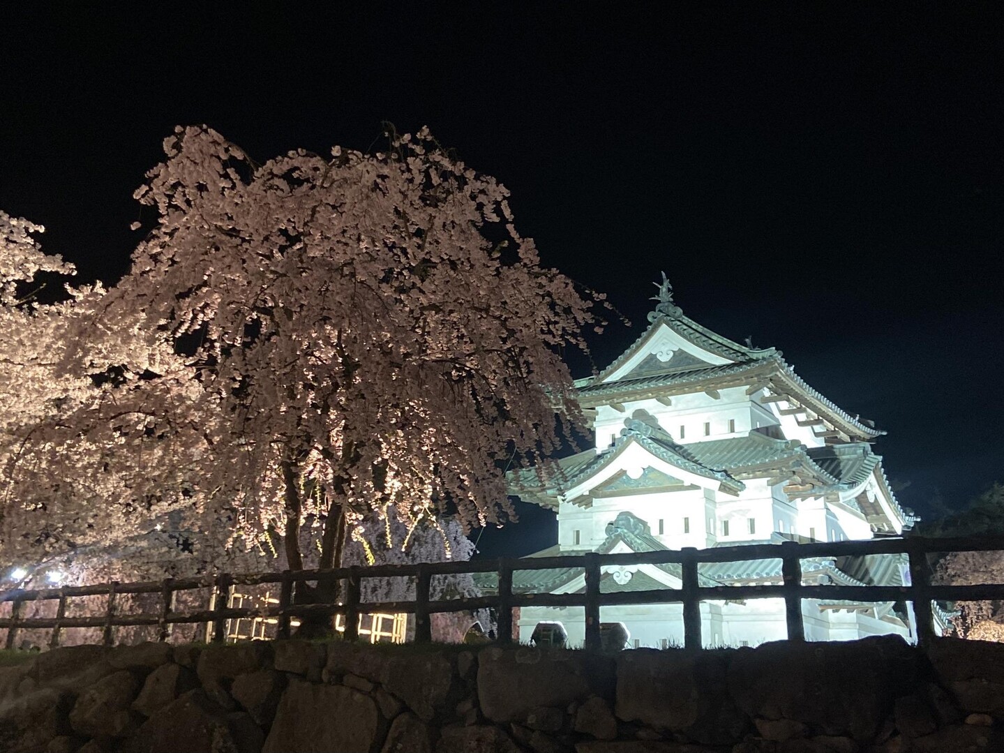 🌸弘前公園🏯 / shinpe-さんの弘前市の活動データ | YAMAP / ヤマップ