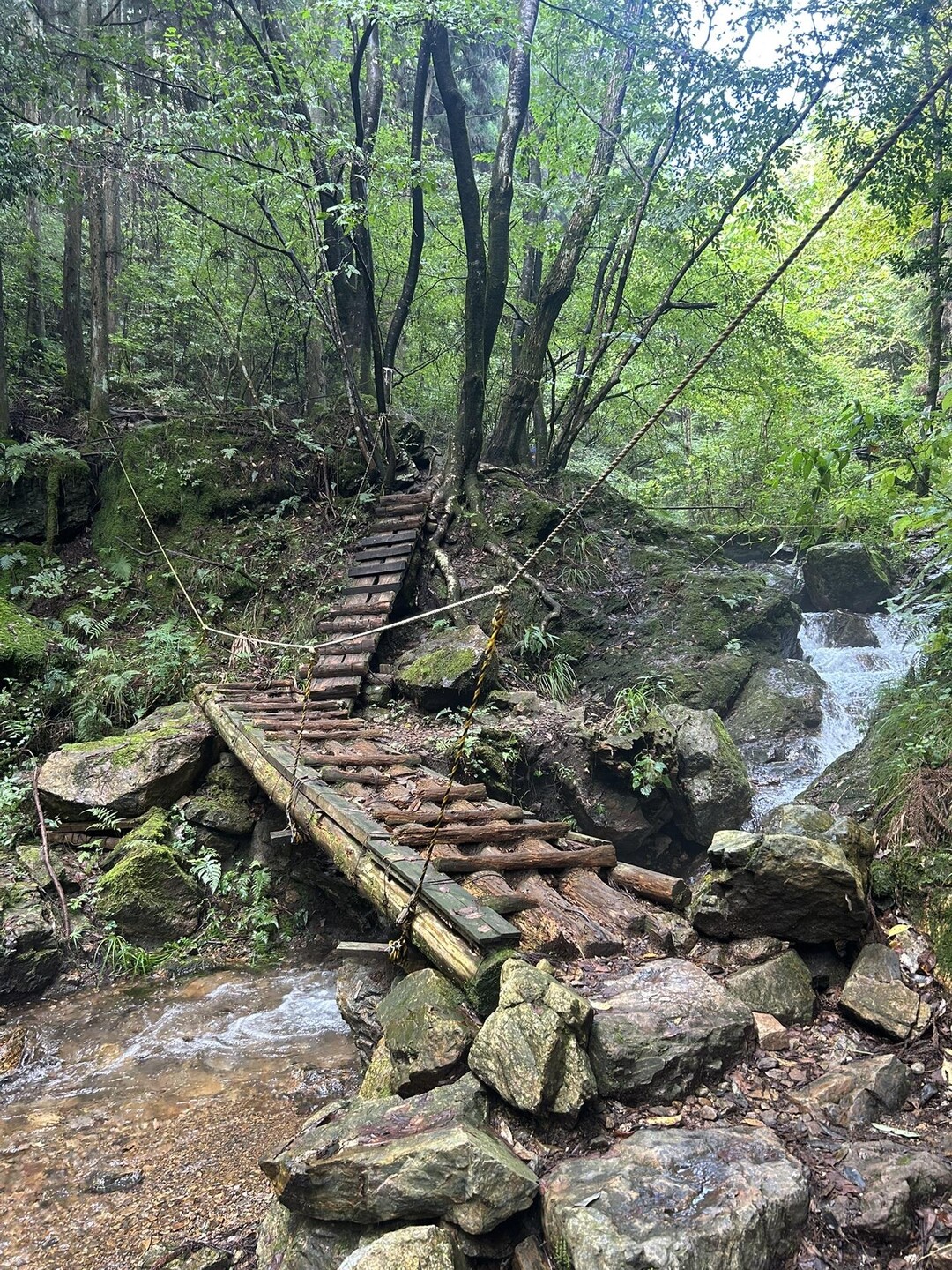 古賀志山・坊主山 / m. hiroさんの古賀志山・赤岩山・鞍掛山・男抱山・半蔵山の活動データ | YAMAP / ヤマップ