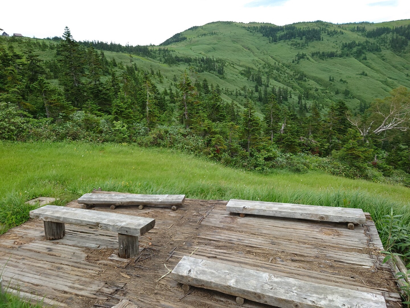 kazuさんの投稿したフィールドメモ | YAMAP / ヤマップ