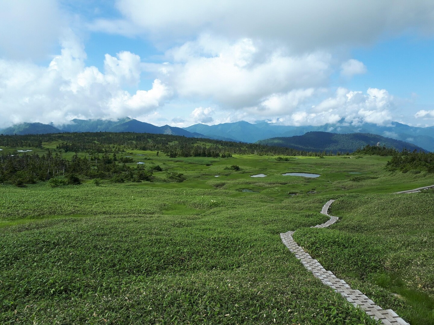 苗場山 / DKさんの苗場山・赤倉山・佐武流山の活動データ | YAMAP / ヤマップ