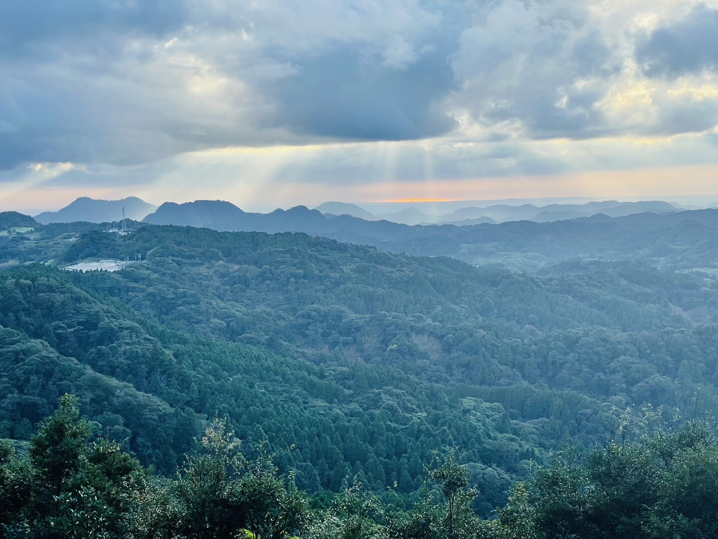 千葉・嶺岡山系／二ツ山（南峰） / otouさんの愛宕山・二ツ山・大山千枚田の活動データ | YAMAP / ヤマップ