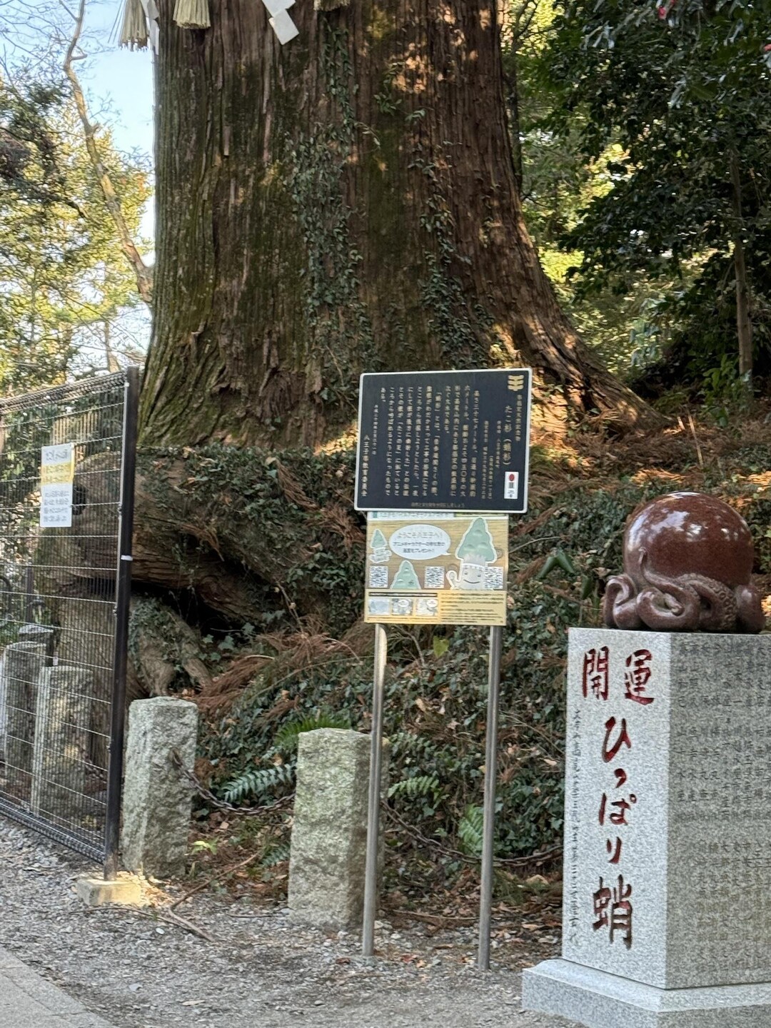 高尾山 / Rie Sさんの高尾山・陣馬山・景信山の活動データ | YAMAP / ヤマップ