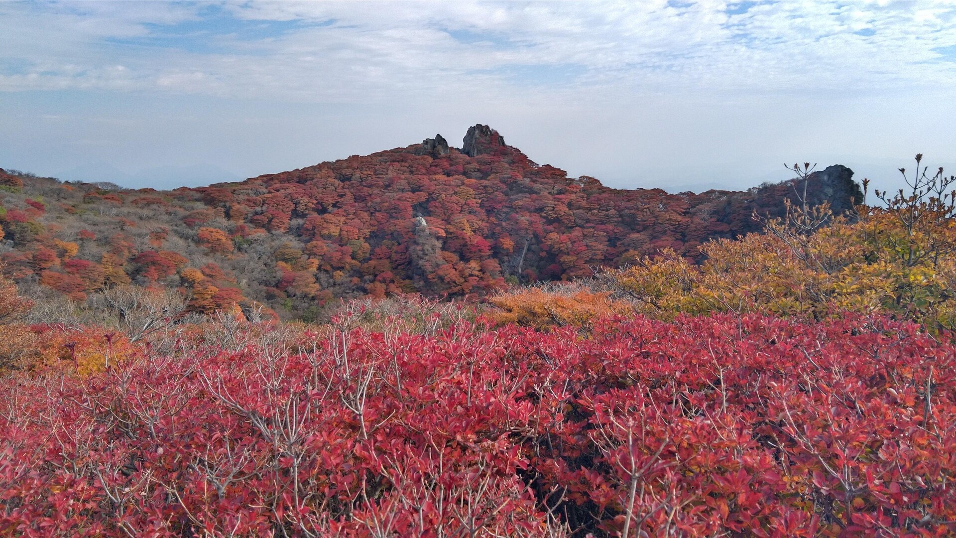 大船山・北大船山 / Na-oさんの九重山（久住山）・大船山・星生山の活動データ | YAMAP / ヤマップ