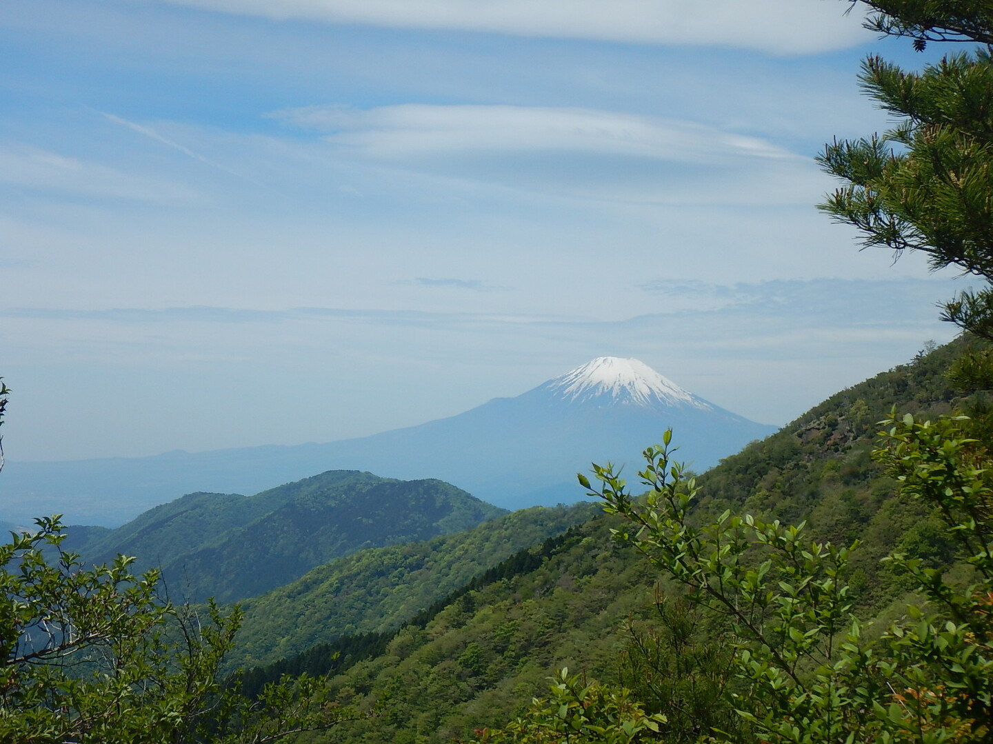 《丹沢》大倉尾根～鍋割山～二俣 / nazさんの塔ノ岳・丹沢山・蛭ヶ岳の活動データ | YAMAP / ヤマップ