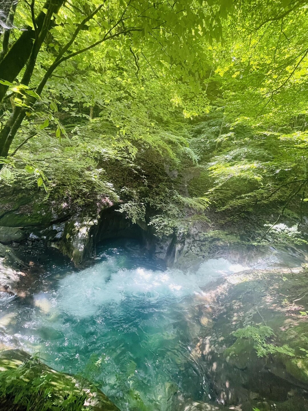 西沢渓谷2023.06.29 / ayakaさんの甲武信ヶ岳の活動データ | YAMAP / ヤマップ