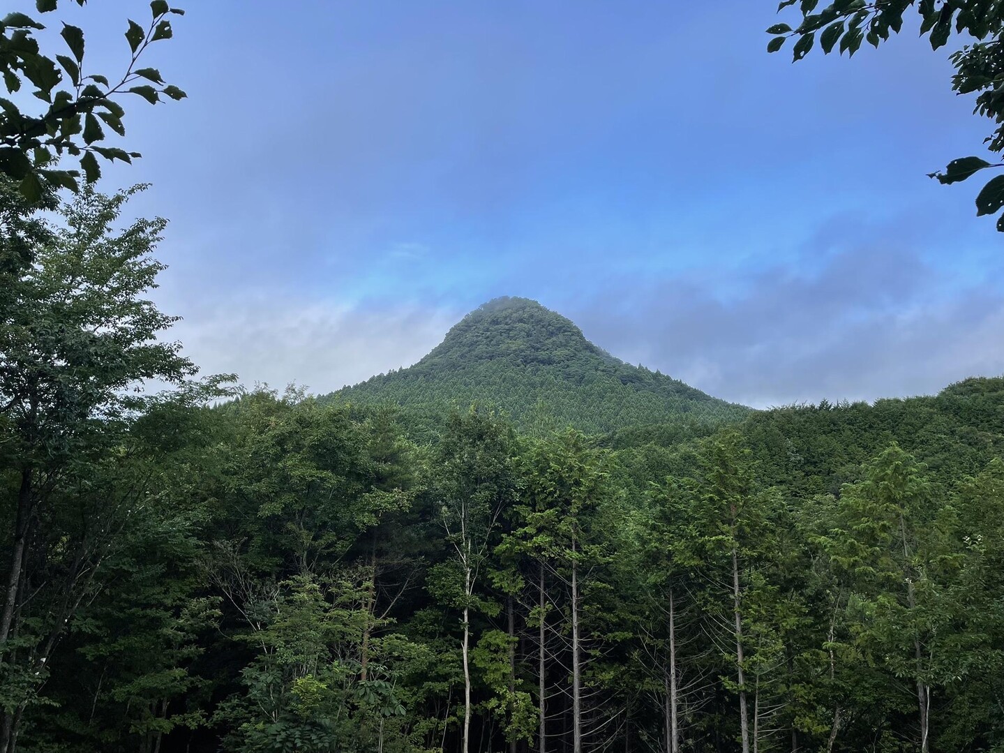 太白山 / Yuminaさんの太白山・萱ヶ崎山・蕃山の活動データ | YAMAP / ヤマップ
