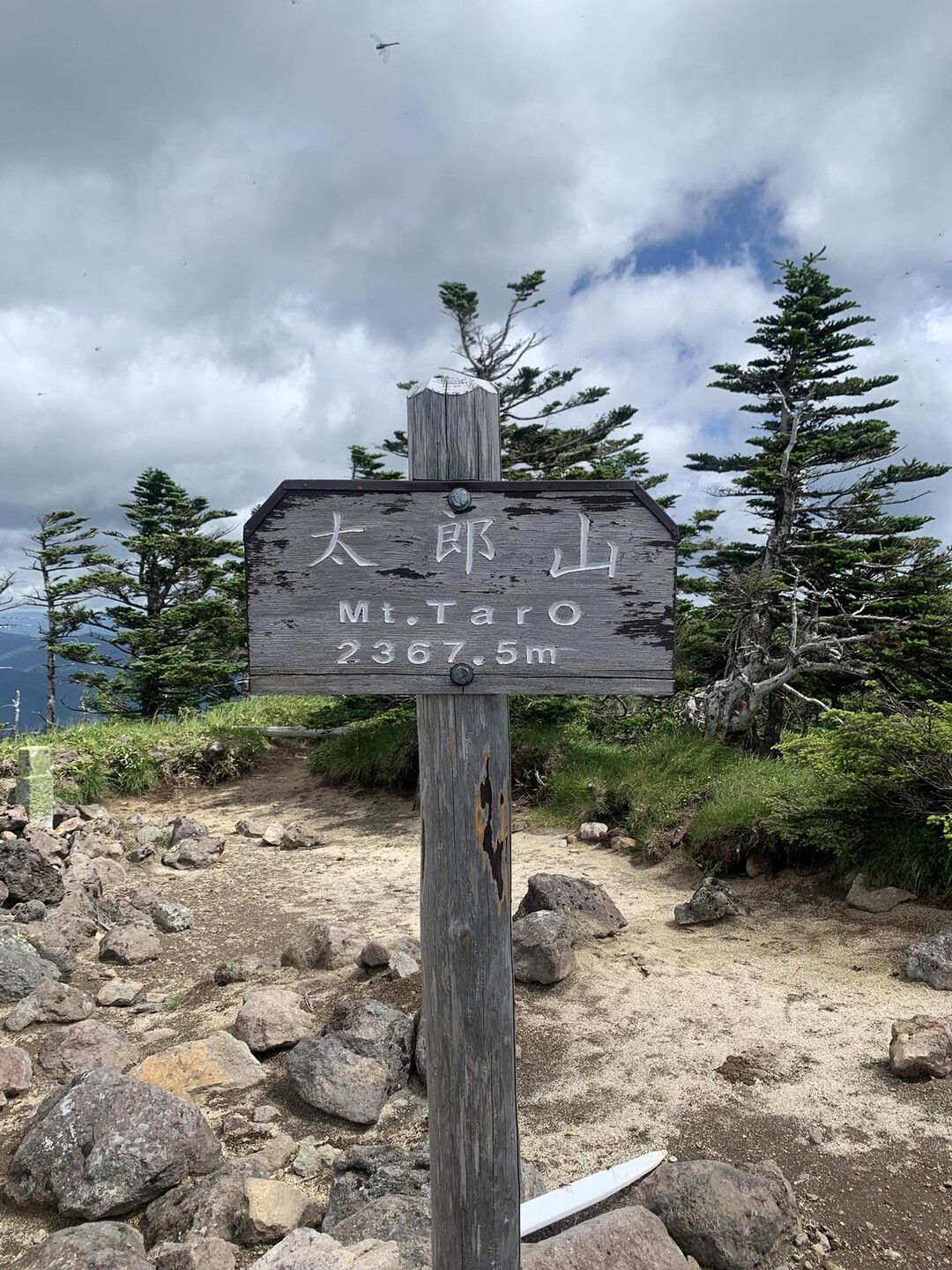 山王帽子山・小太郎山・太郎山 / Genkiさんの男体山の活動データ | YAMAP / ヤマップ