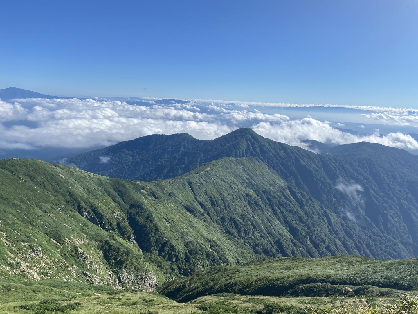 古寺山・小朝日岳・大朝日岳 / Traciさんの大朝日岳・朝日連峰・祝瓶山の活動日記 | YAMAP / ヤマップ
