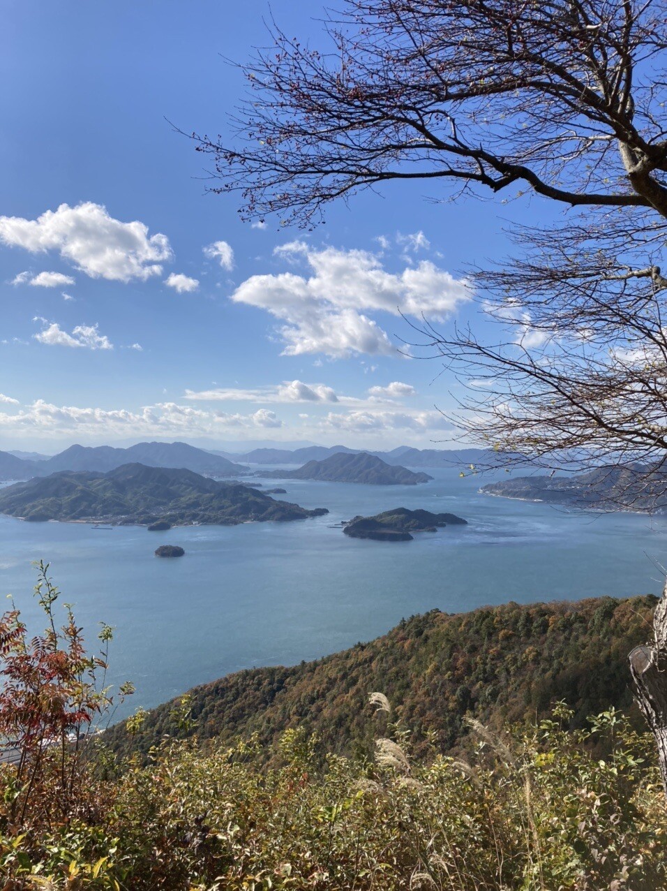 桜山・象山・米田山・大平山・鉢ヶ峰・鳴滝山・鳴滝城山・千光寺山(大宝山) / cbmdさんのみはらし連山・鳴滝山・鉢ヶ峰の活動日記 | YAMAP / ヤマップ
