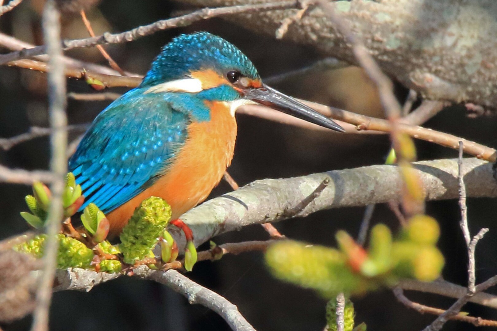 Eriのページ | YAMAP / ヤマップ