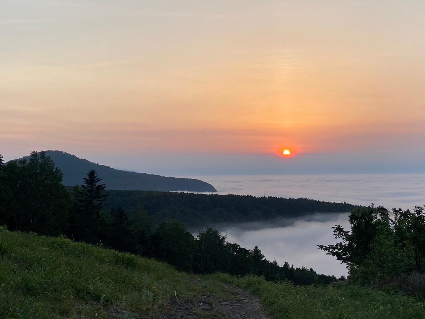 小樽天狗山-12 / yuki_iroさんの塩谷丸山・於古発山の活動データ | YAMAP / ヤマップ