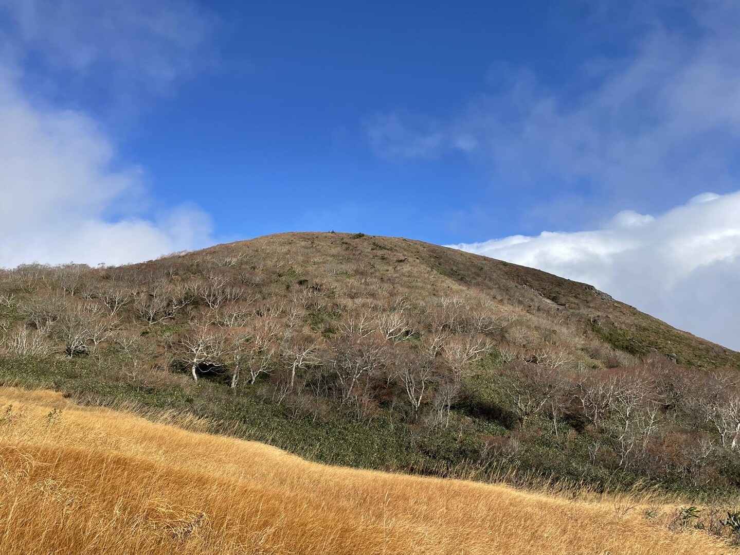 湯浜コース栗駒山 / siroさんの栗駒山（須川岳）・秣岳・虚空蔵山の活動データ | YAMAP / ヤマップ