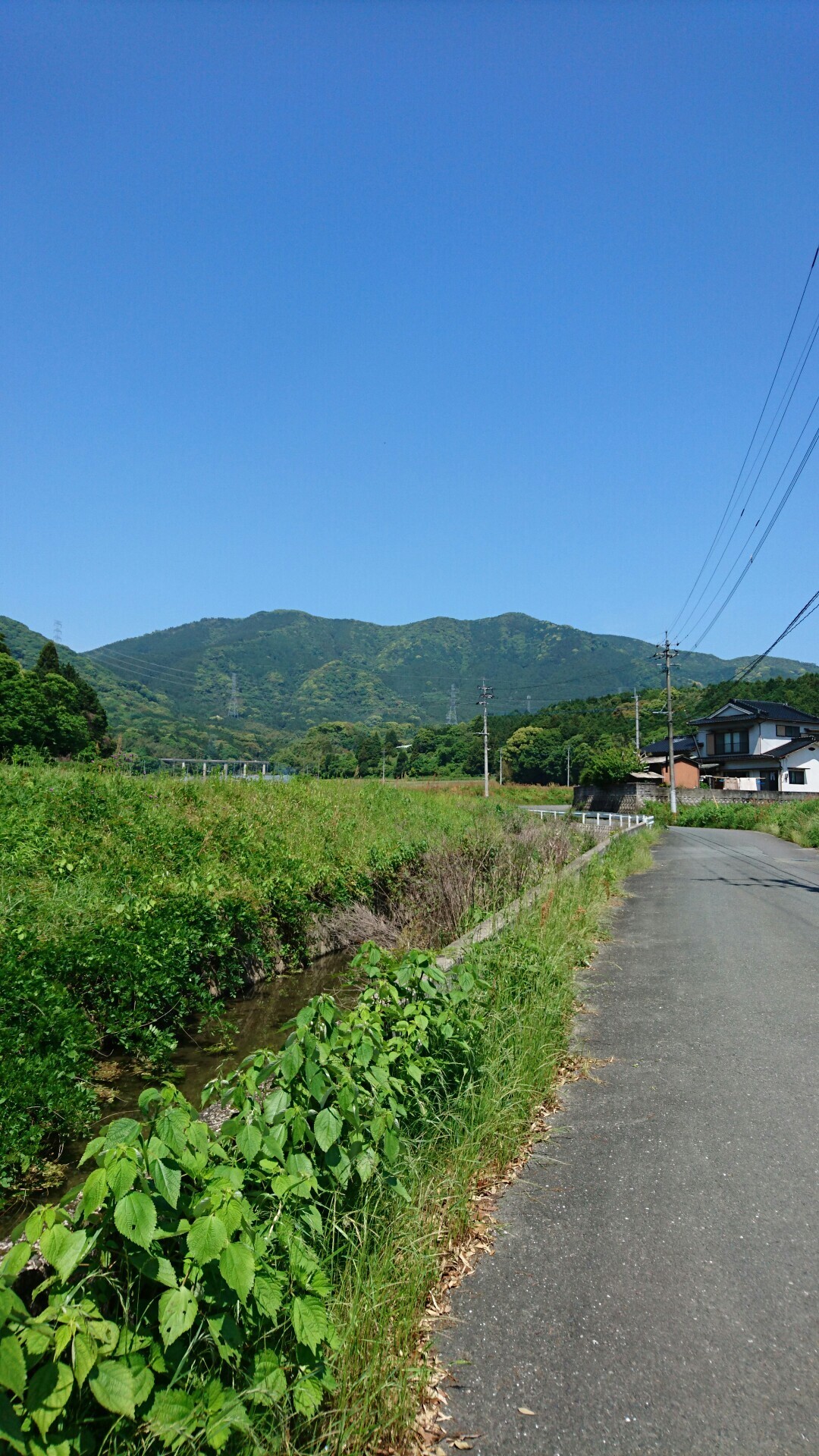 凄いネーミング … 龍王山 / masazyさんの龍王山・八木山の活動データ | YAMAP / ヤマップ