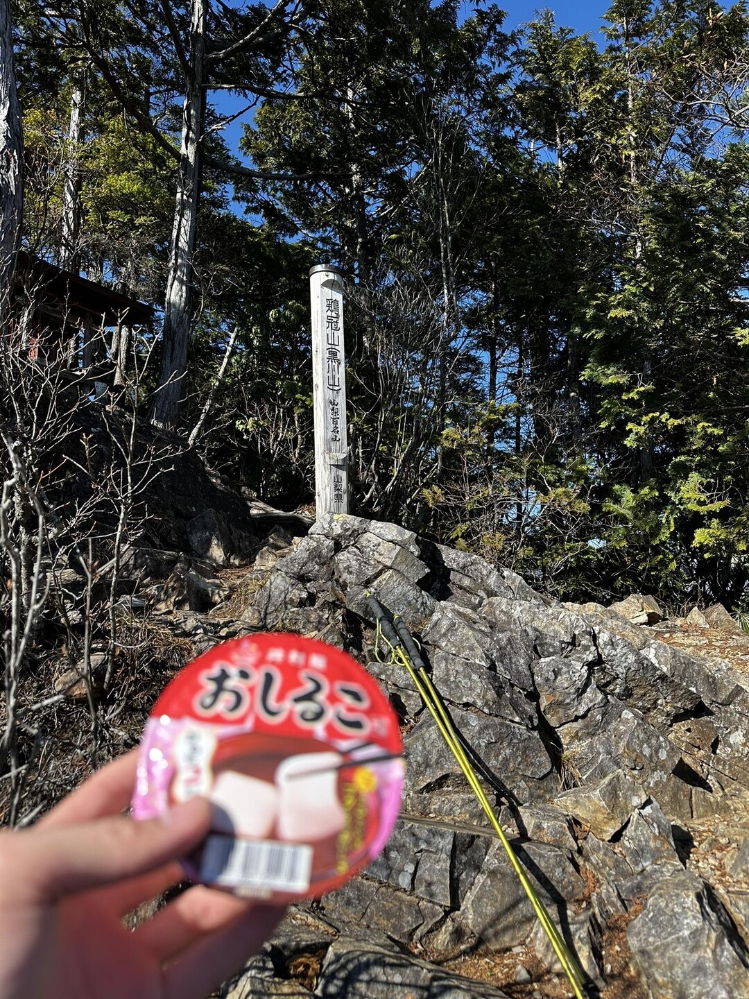 鶏冠山(黒川山)・黒川鶏冠山 / ansoさんの大菩薩嶺・鶏冠山・大マテイ山の活動データ | YAMAP / ヤマップ