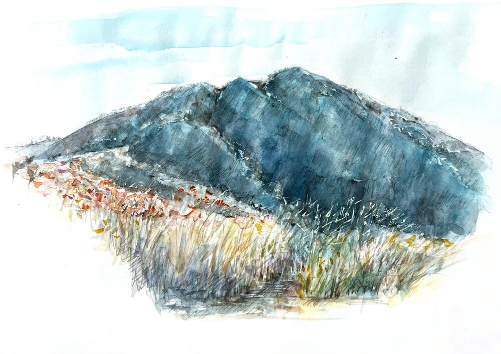 荒島岳 大地感強く、紫紺の山肌は様々な... / watsonさんのモーメント | YAMAP / ヤマップ