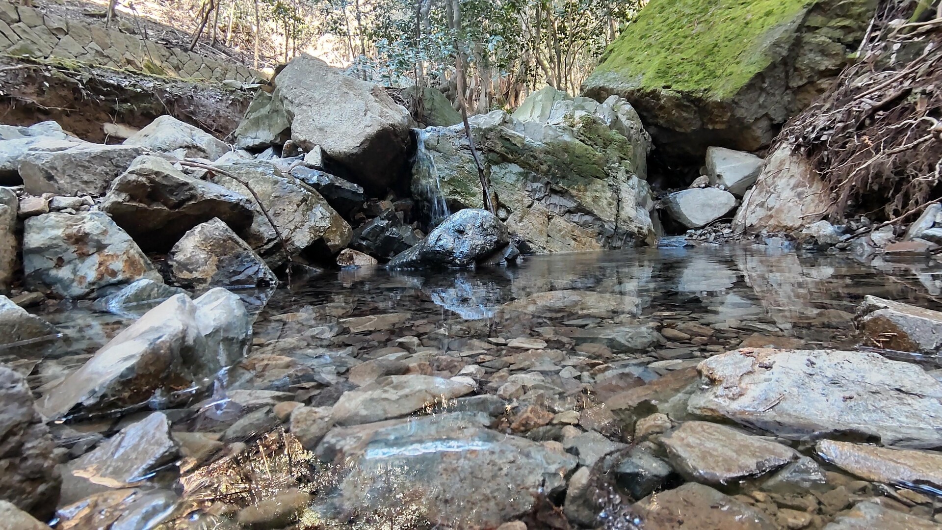 鬼ヶ城117 / Ymarpyさんの竜王山・鋤尖山・鬼ヶ城の活動データ | YAMAP / ヤマップ