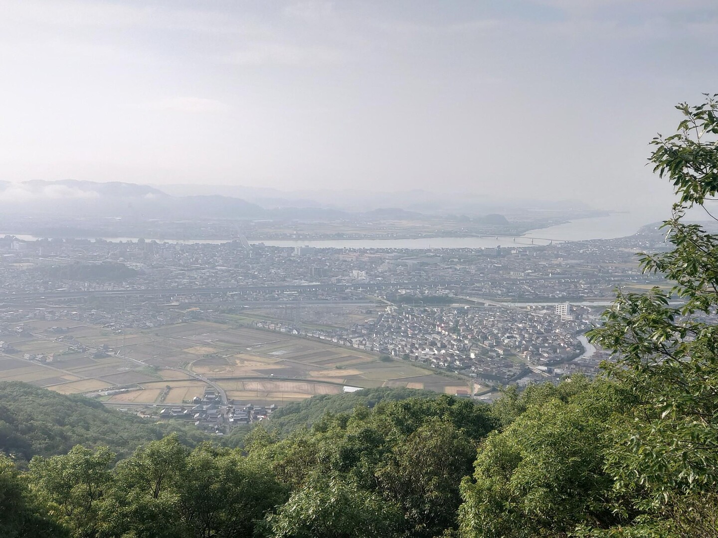 芥子山😼多し / yagarinさんの芥子山・シャシャ木山の活動データ | YAMAP / ヤマップ