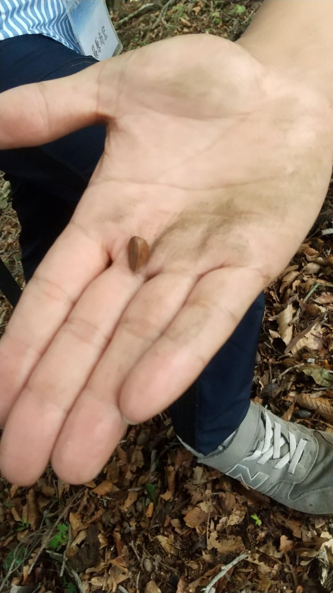 三方岳 / 🔰 mochaさんの三方岳の活動データ | YAMAP / ヤマップ