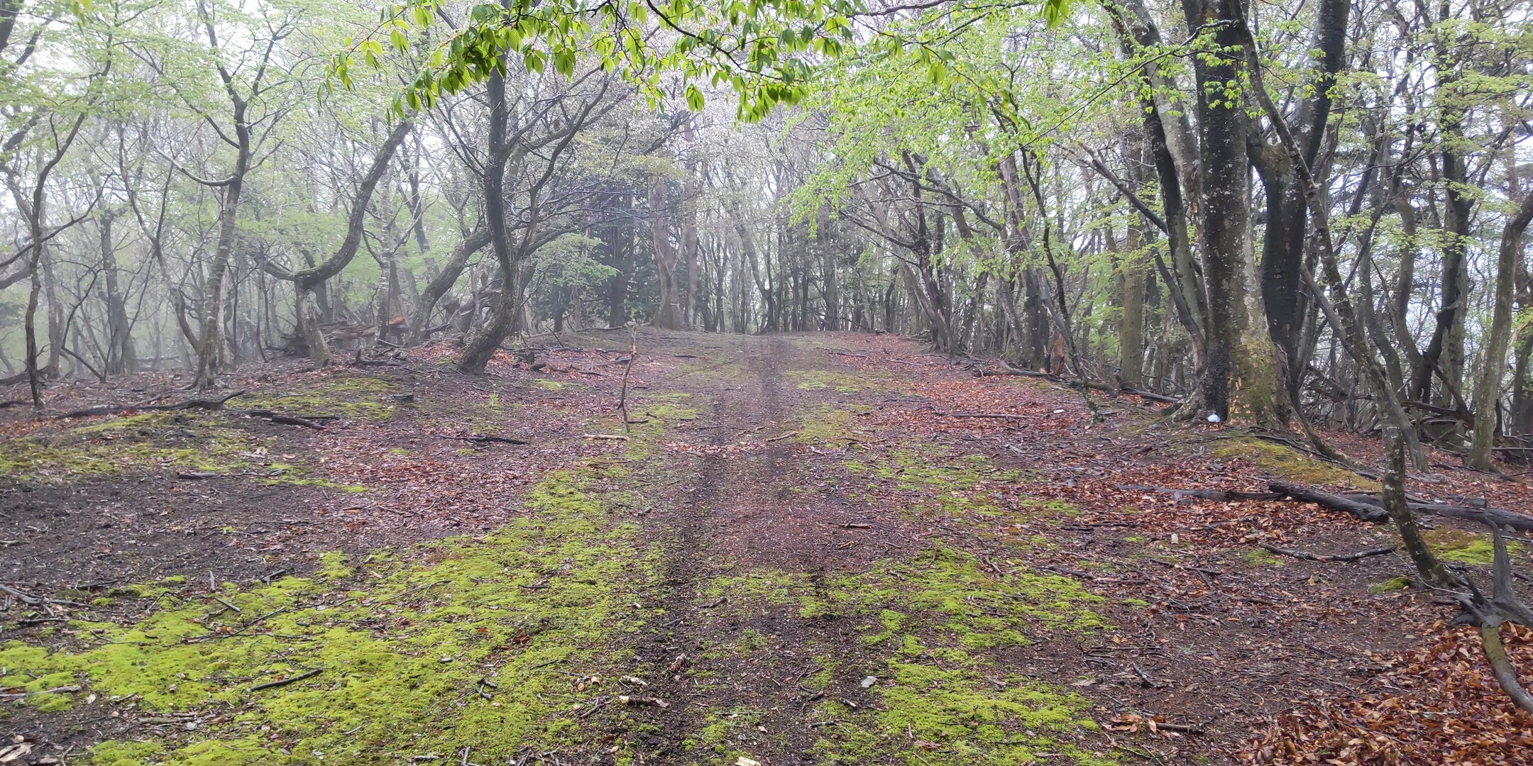 リハビリ登山3～石投山～ / kawaさんの石投山・硯上山・羽黒山の活動データ | YAMAP / ヤマップ