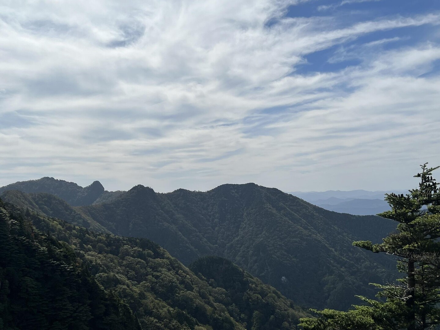 スタートボタン、ポチ忘れにつき活動データ... / mattさんのモーメント | YAMAP / ヤマップ