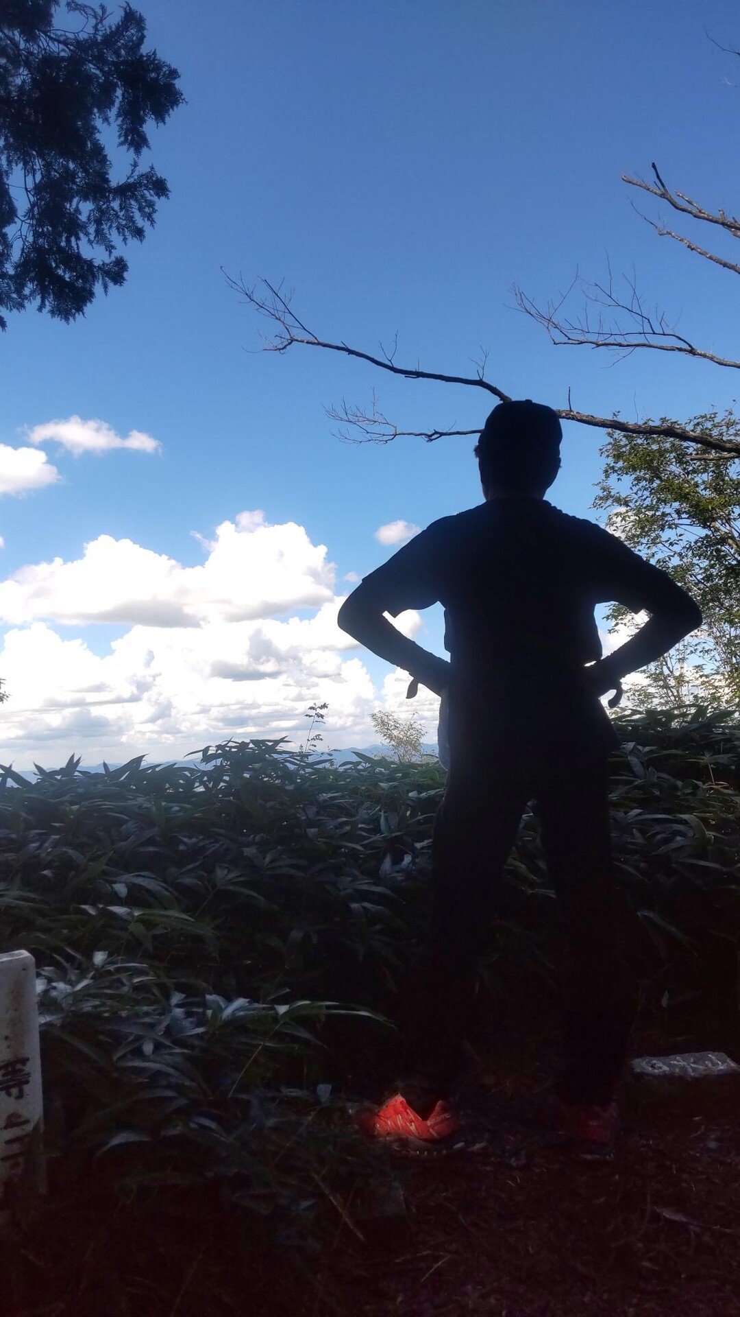 白水峡〜六甲最高峰〜瑞宝寺谷マイナールートソロハイク-2023-08-26 / morimoriさんの六甲山・長峰山・摩耶山の活動データ | YAMAP / ヤマップ