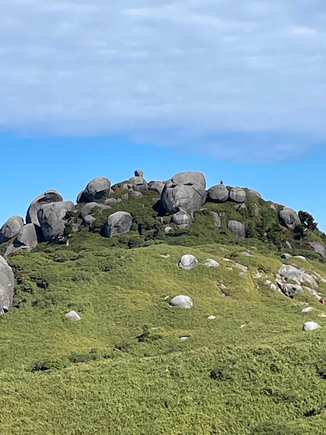 屋久島へGO‼️ / マイキーさんの屋久島・宮之浦岳の活動データ | YAMAP / ヤマップ