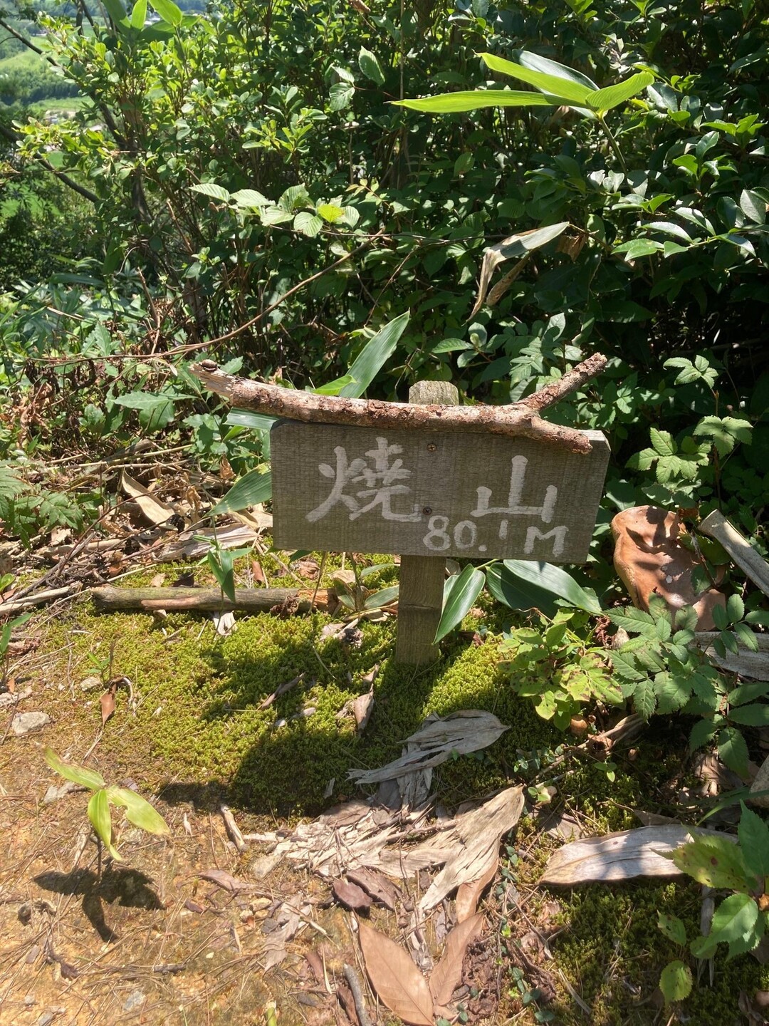 焼山 / mini98Dさんの五十公野山の活動データ | YAMAP / ヤマップ