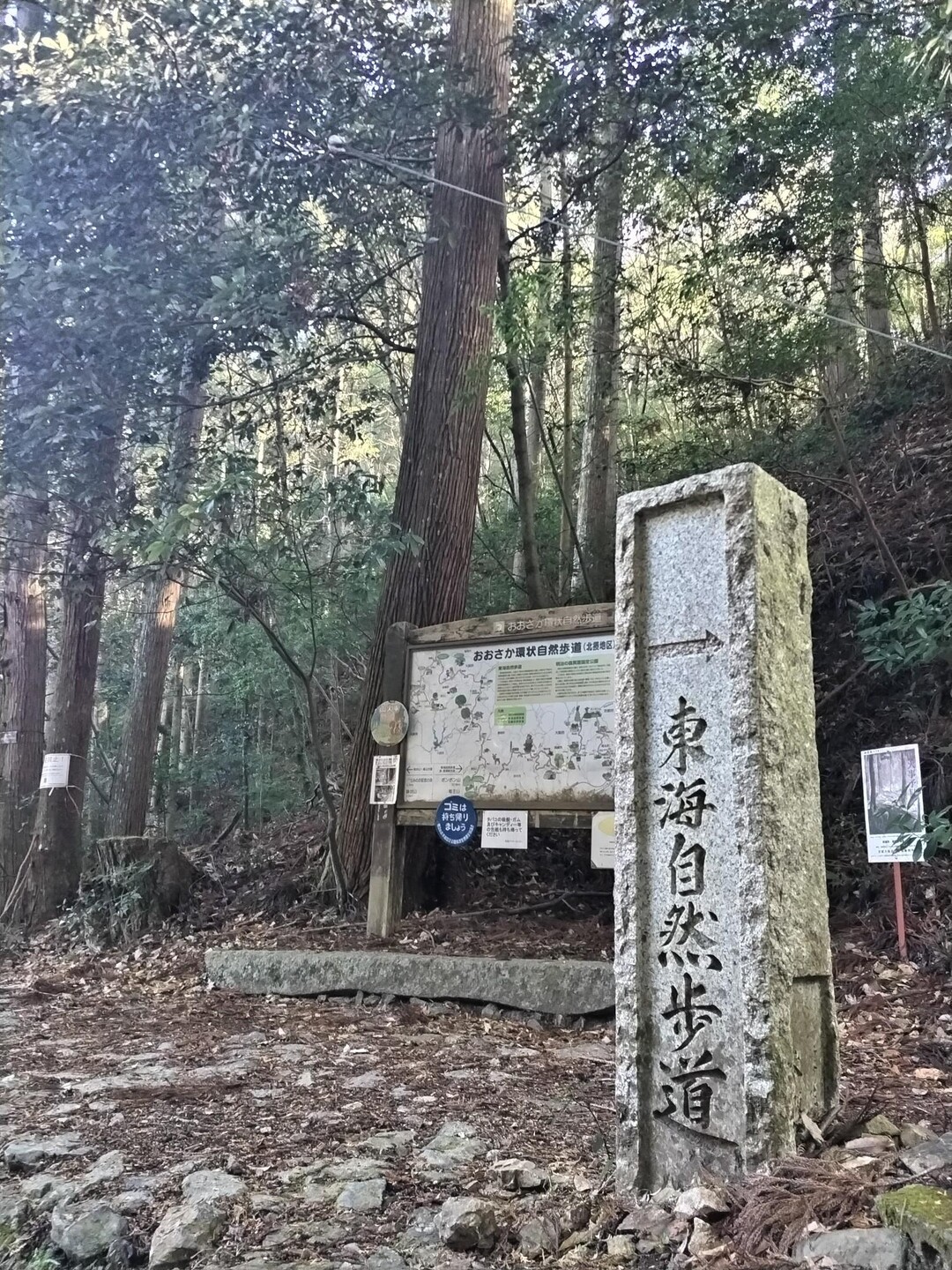 YSのページ | YAMAP / ヤマップ