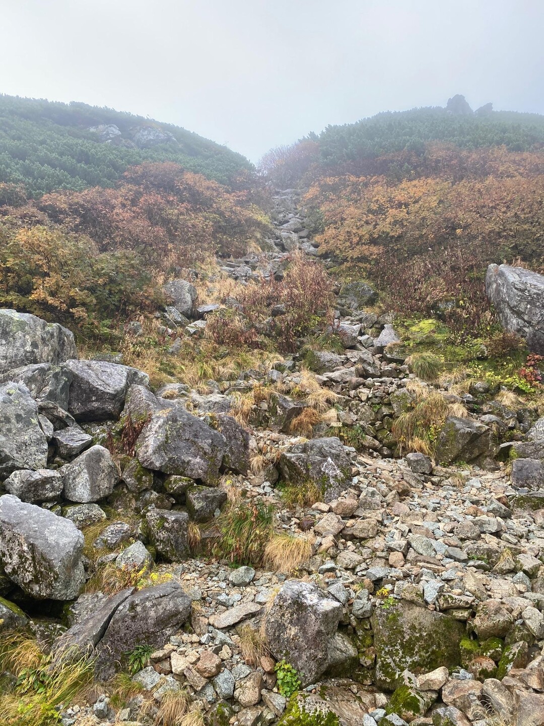 あんちゃんさんの投稿したフィールドメモ | YAMAP / ヤマップ