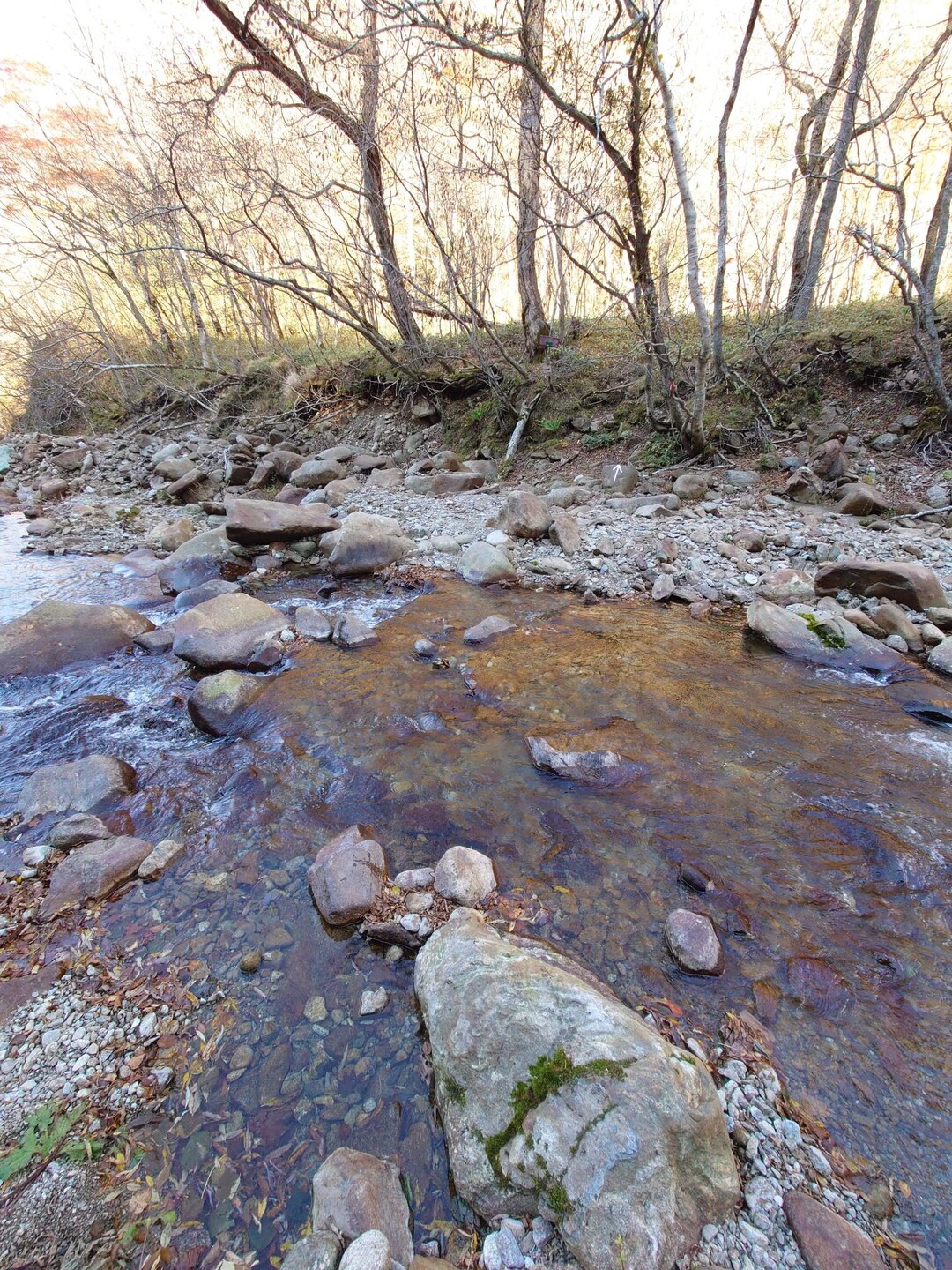 ARUさんの投稿したフィールドメモ | YAMAP / ヤマップ