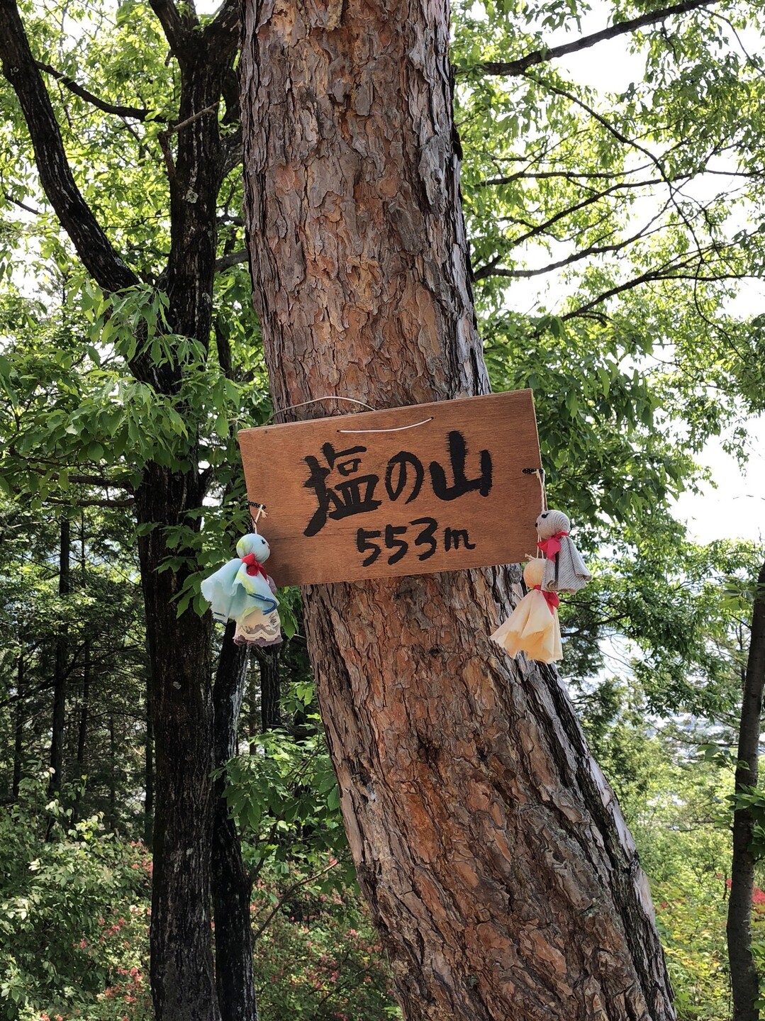 第2ラウンドは塩山の塩ノ山⛰ / conyさんの塩ノ山の活動データ | YAMAP / ヤマップ