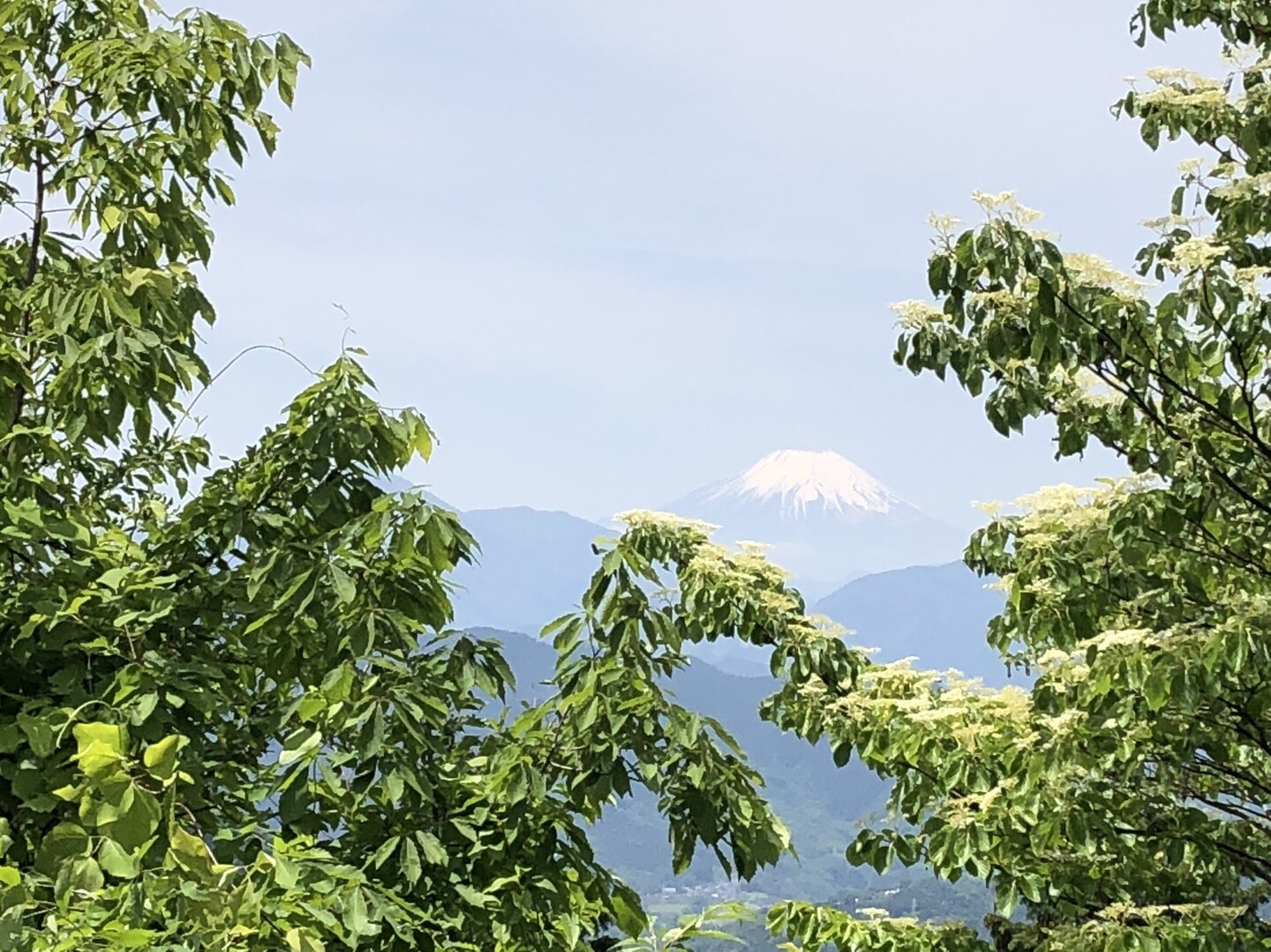結局…高尾💧 / conyさんの高尾山・陣馬山・景信山の活動データ | YAMAP / ヤマップ