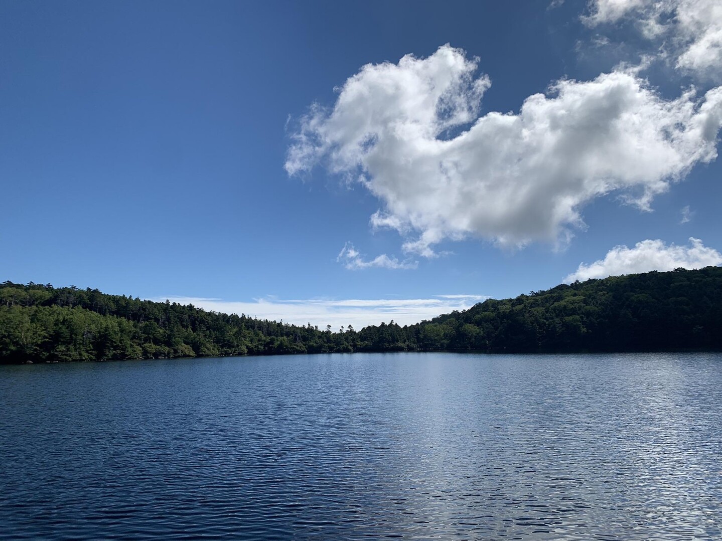 🌼初北八ヶ岳🌼 / ryuさんの蓼科山・横岳・縞枯山の活動データ | YAMAP / ヤマップ