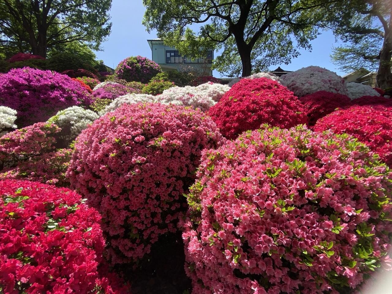 Fumiのページ | YAMAP / ヤマップ