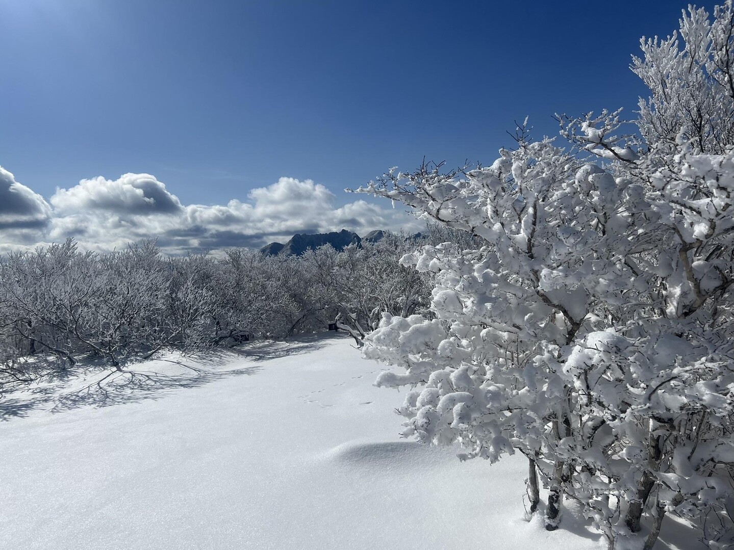 赤星山 / eriさんの赤星山・豊受山の活動データ | YAMAP / ヤマップ