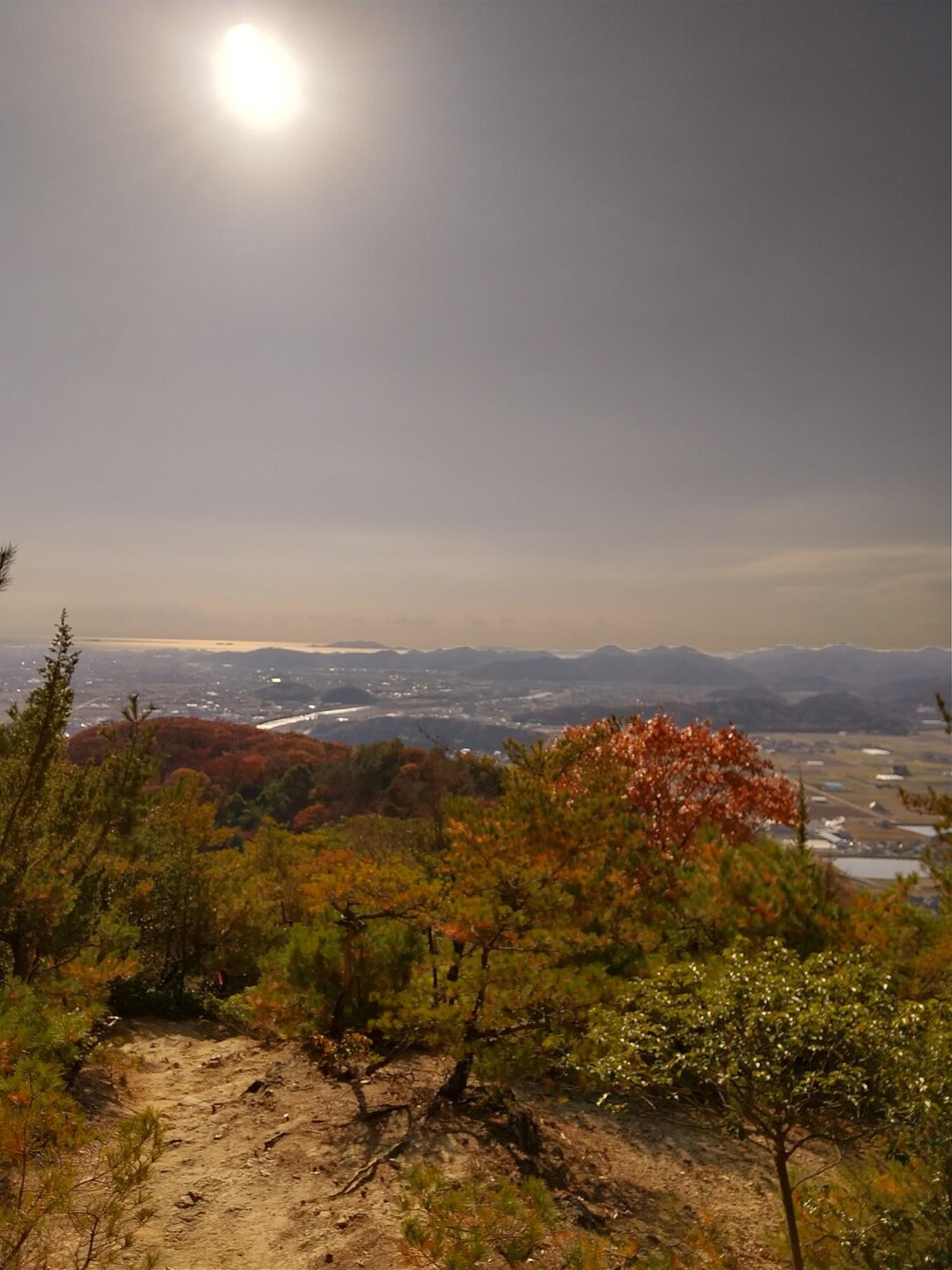 的場山・鶏籠山 / jujuさんの亀山・鶏籠山・的場山の活動データ | YAMAP / ヤマップ