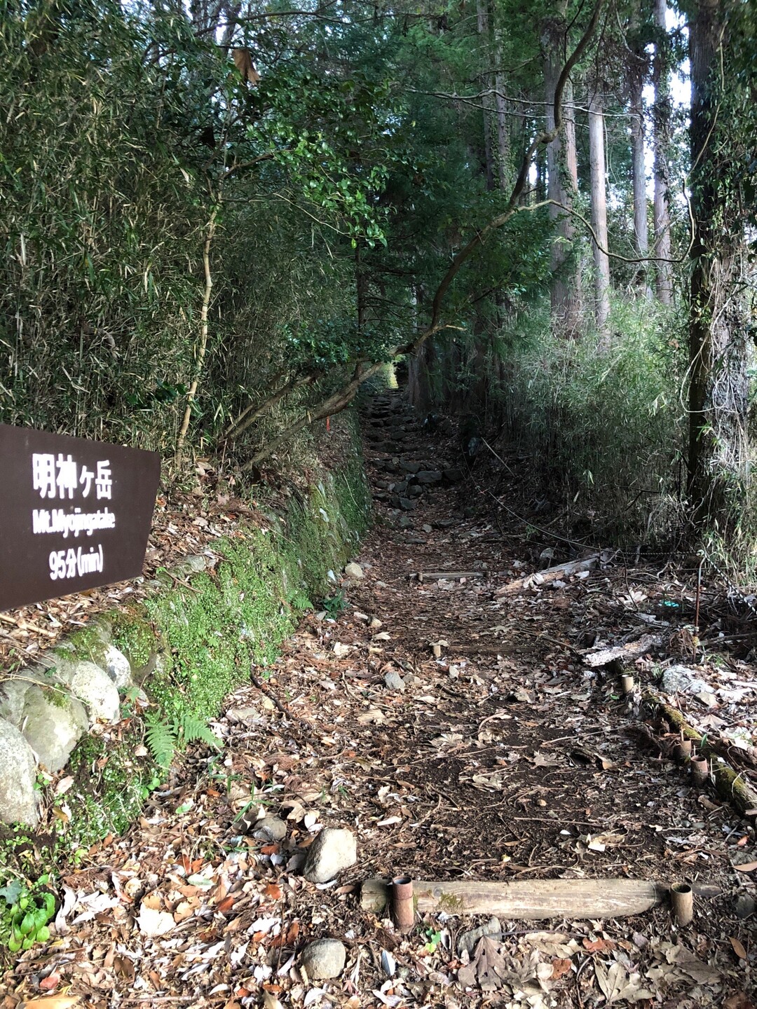 Twatchさんの投稿したフィールドメモ | YAMAP / ヤマップ