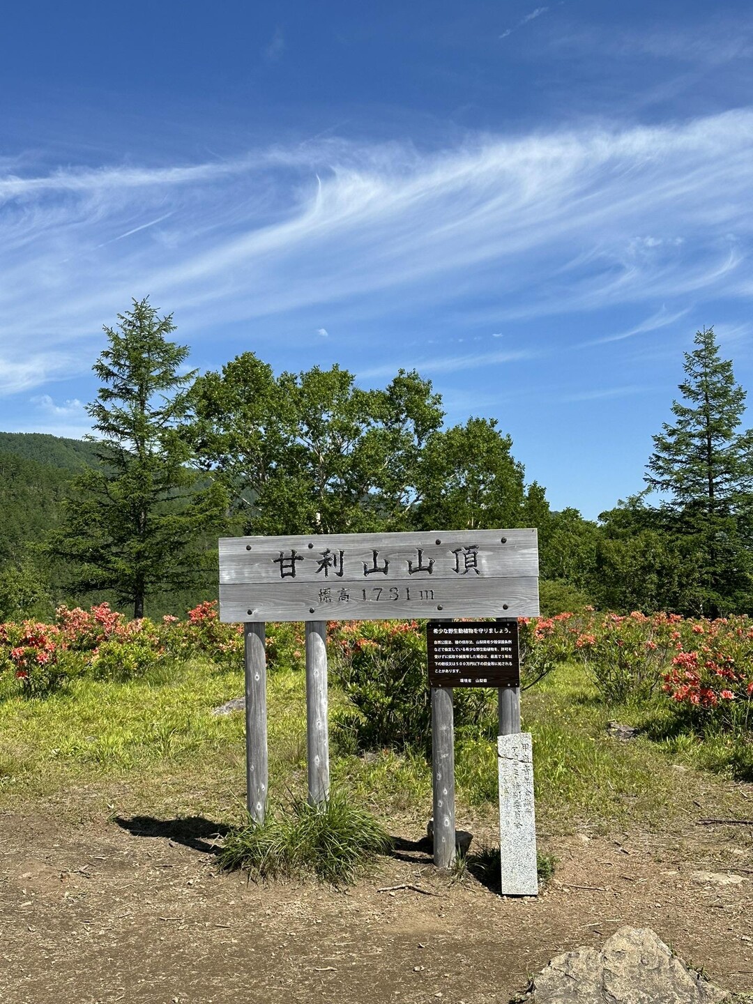 甘利山へいきました。 / みつ子さんのウォーキングの活動データ | YAMAP / ヤマップ