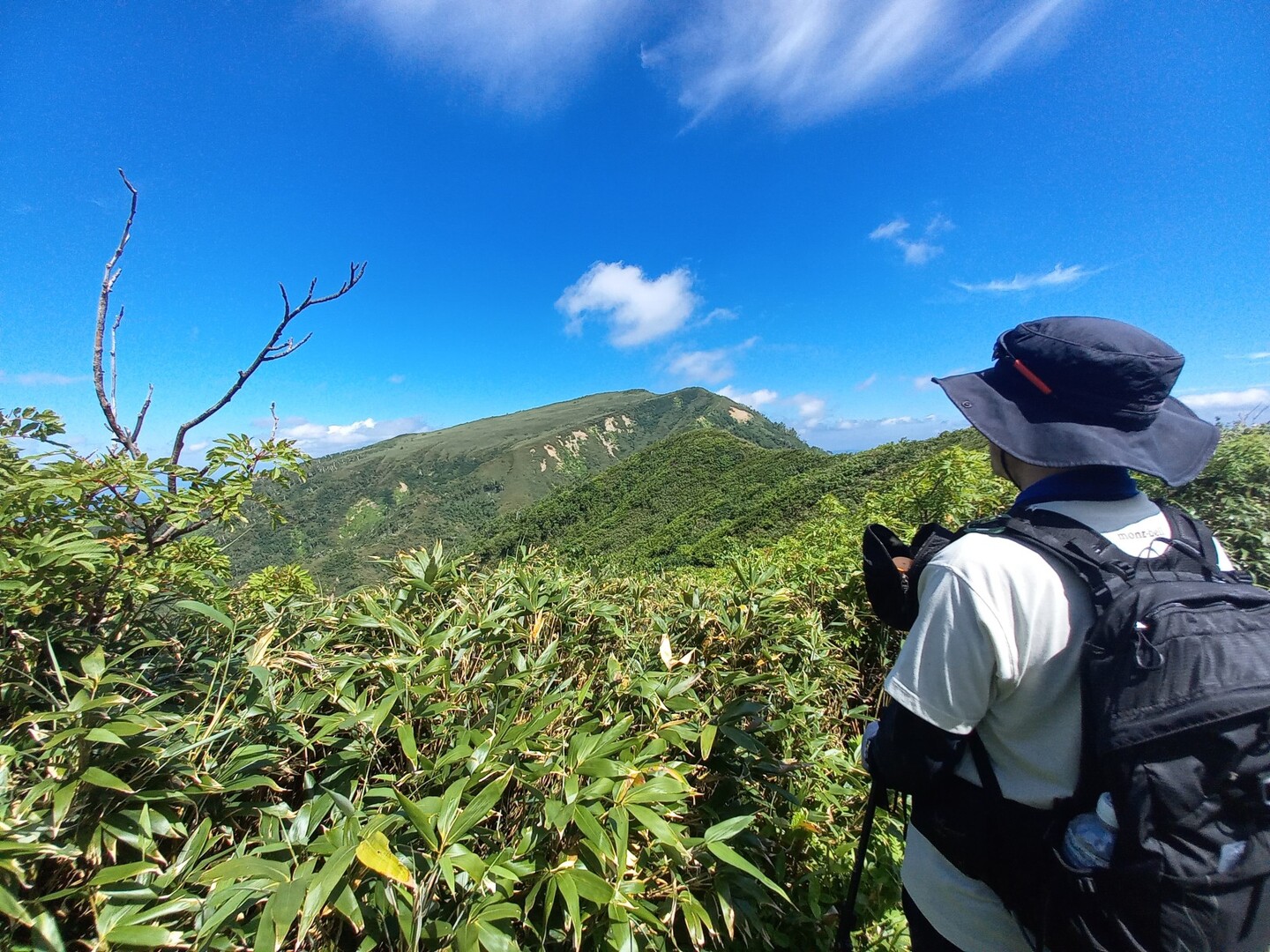 ピッシリ山-2022-07-09 / nomさんのピッシリ山の活動データ | YAMAP / ヤマップ