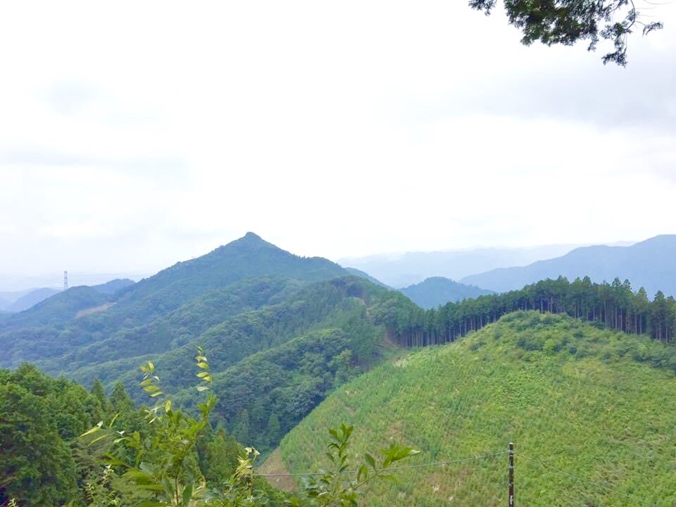 2016年8月12日 御岳山〜日の出山 ... / Sushizoさんのモーメント | YAMAP / ヤマップ