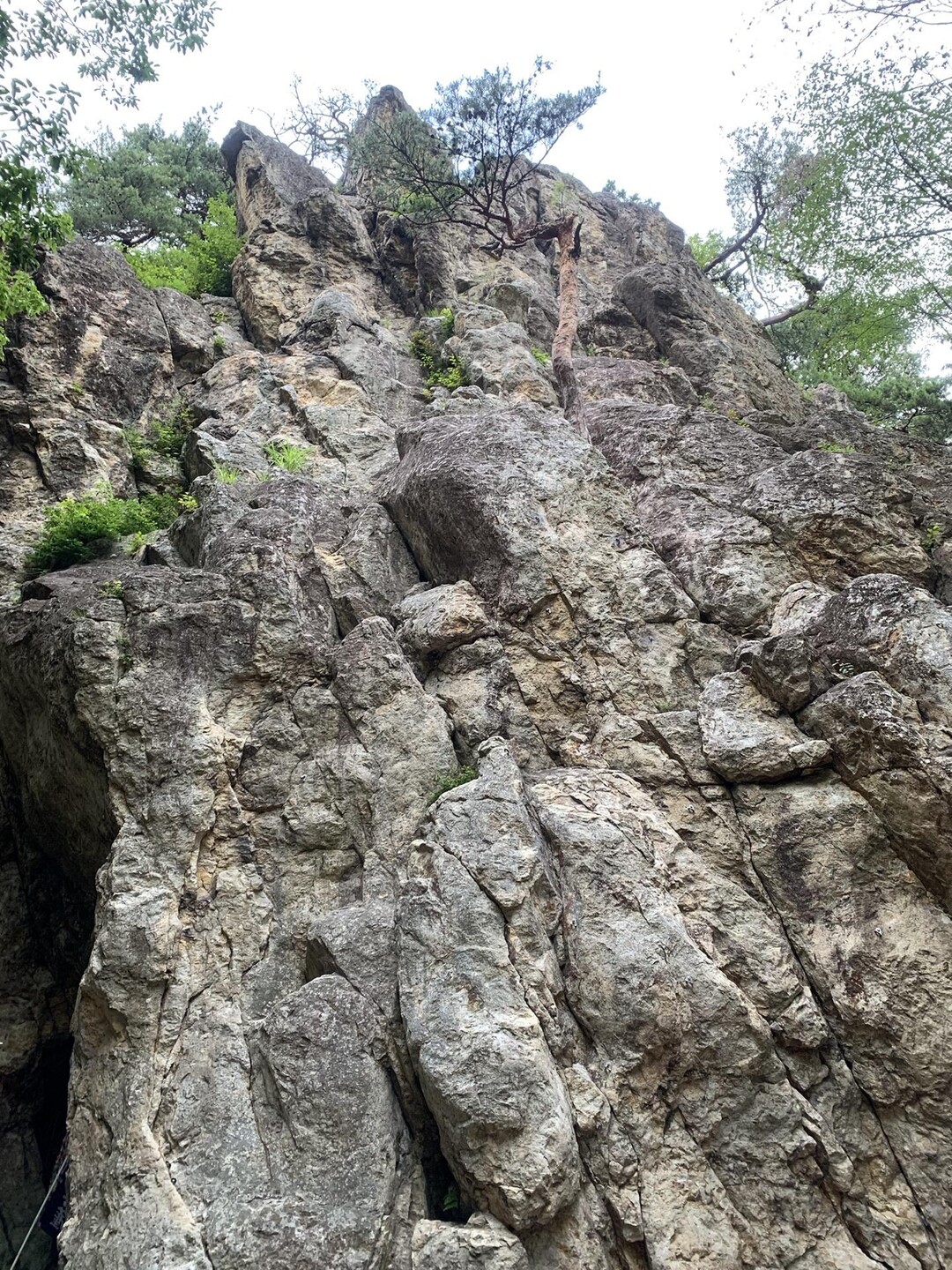 地附山・大峰山 / 雄yanさんの地附山・大峰山・葛山の活動データ | YAMAP / ヤマップ