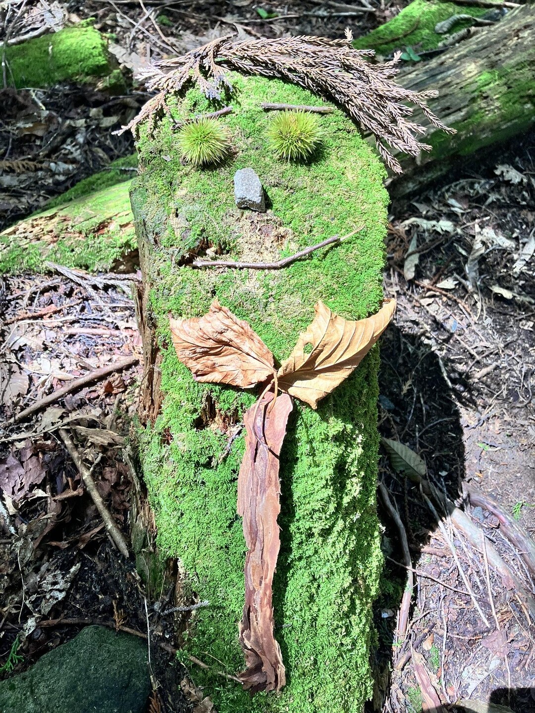 母袋烏帽子岳(岐阜県郡上市) / KNさんの母袋烏帽子岳の活動データ | YAMAP / ヤマップ