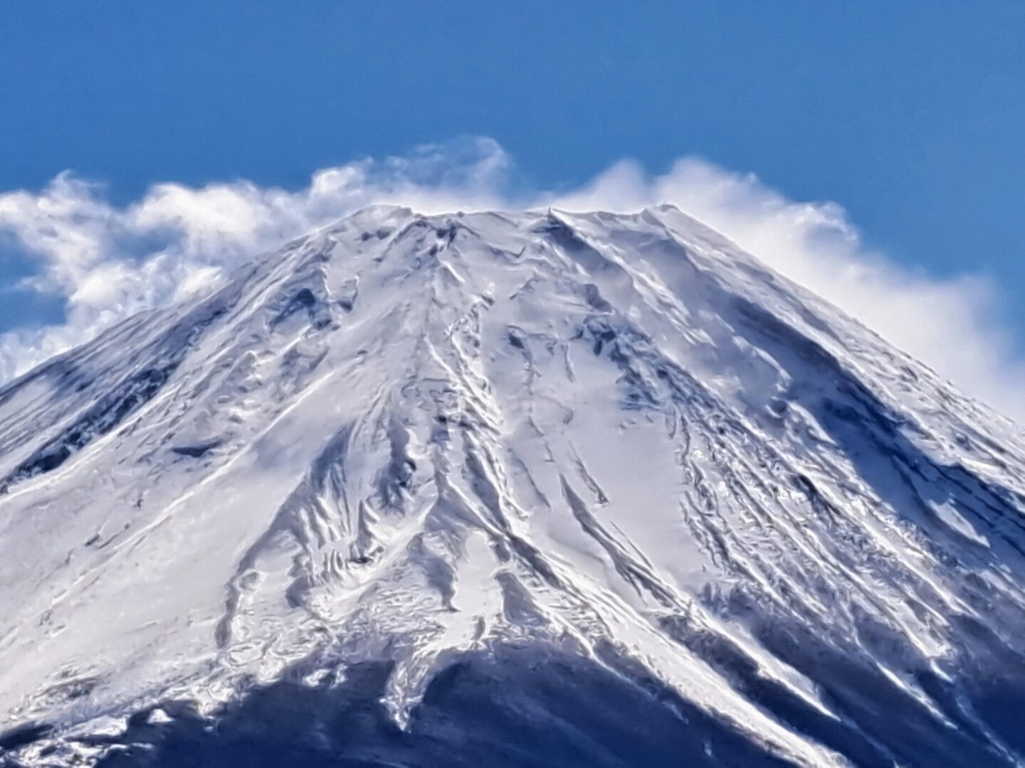 Mt.Fujiｻﾞﾝﾏｲ 竜ヶ岳 / やまいやまおさんの毛無山・雨ヶ岳・竜ヶ岳の活動データ | YAMAP / ヤマップ