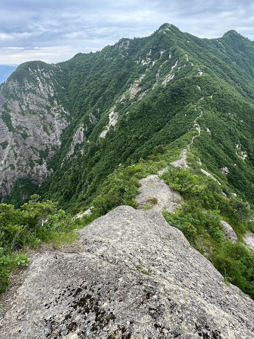 奥深き河内山塊 光明山 / Mt.keiさんの光明山の活動データ | YAMAP / ヤマップ