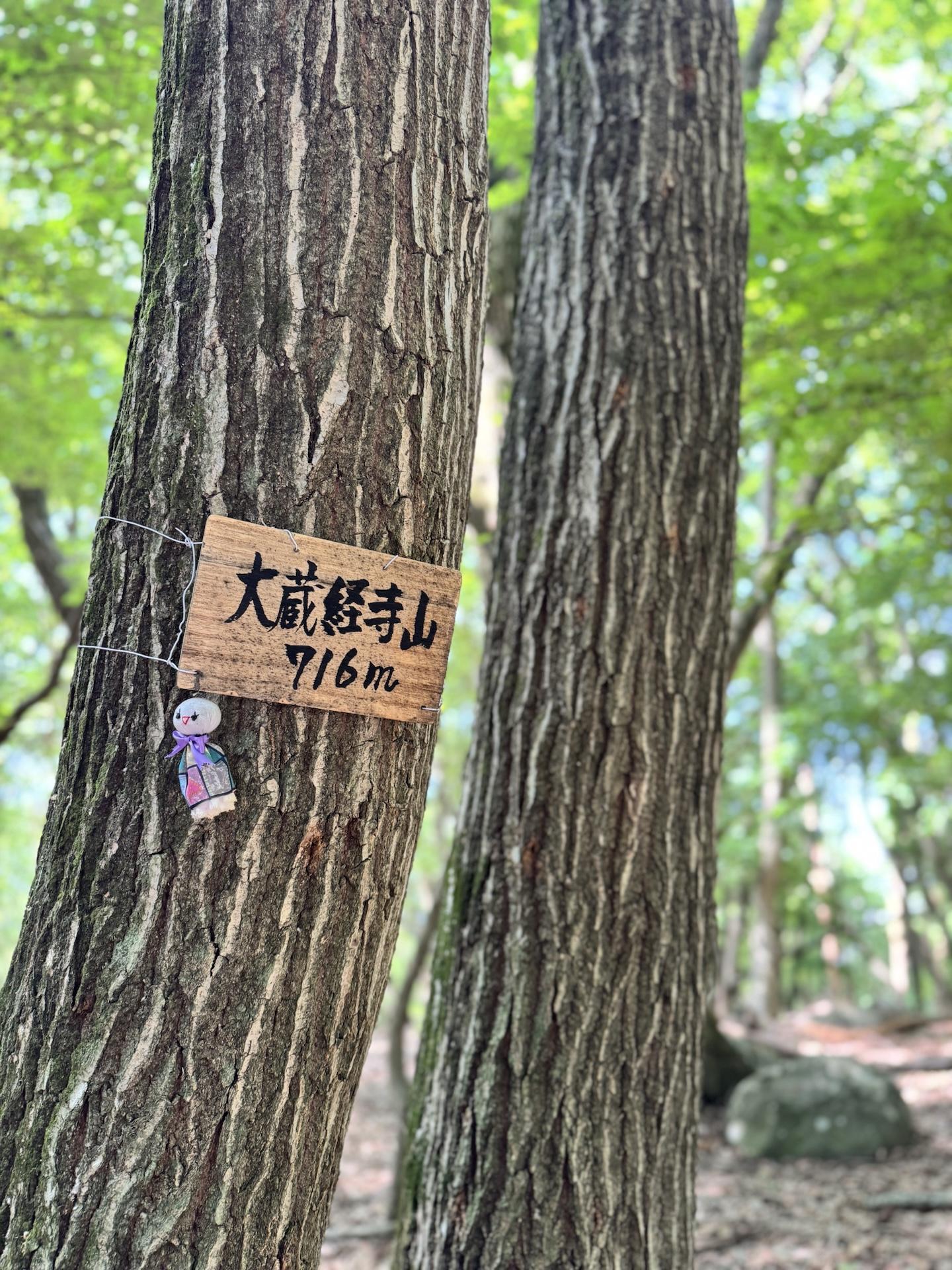 大蔵経寺山 / amuさんの要害山・兜山・大蔵経寺山の活動データ | YAMAP / ヤマップ