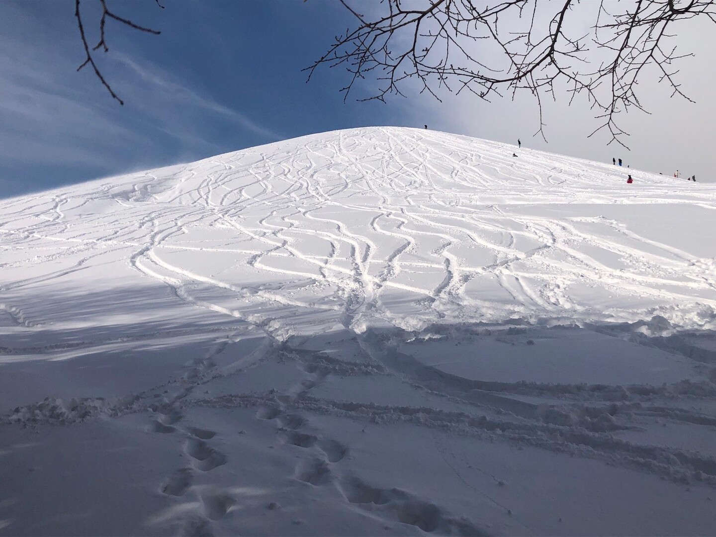 モエレ山・プレイマウンテン / katuraさんのモエレ山の活動データ | YAMAP / ヤマップ