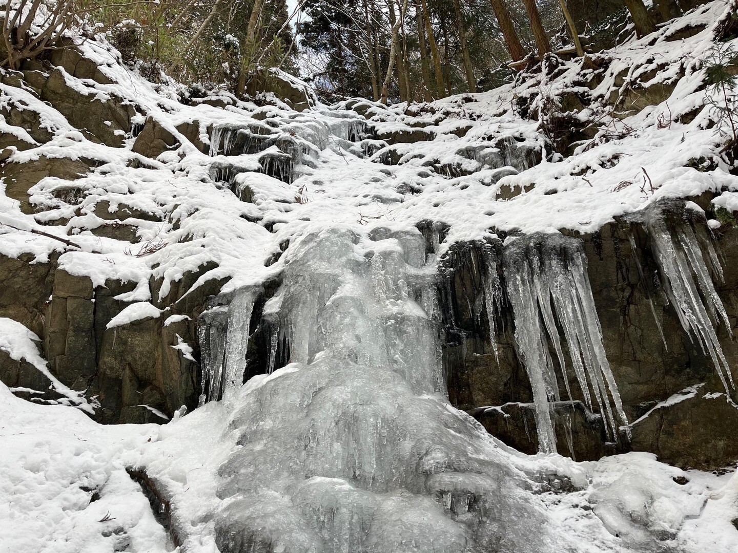 金剛山 ⤴️ツツジ尾谷源流 ⤵️千早本道 / milky55さんの金剛山・二上山・大和葛城山の活動データ | YAMAP / ヤマップ