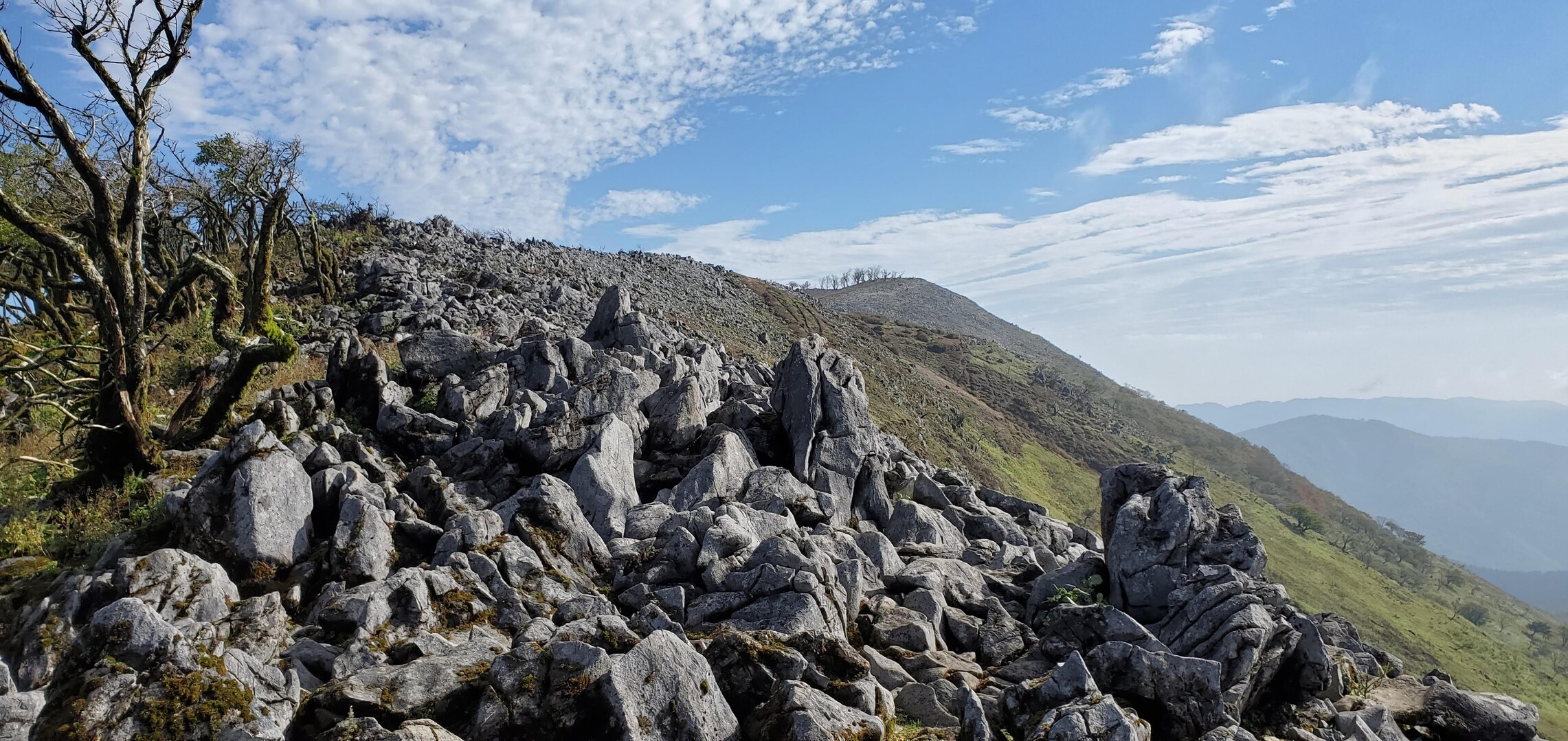 霊仙に地震? / damens さんの霊仙山の活動データ | YAMAP / ヤマップ