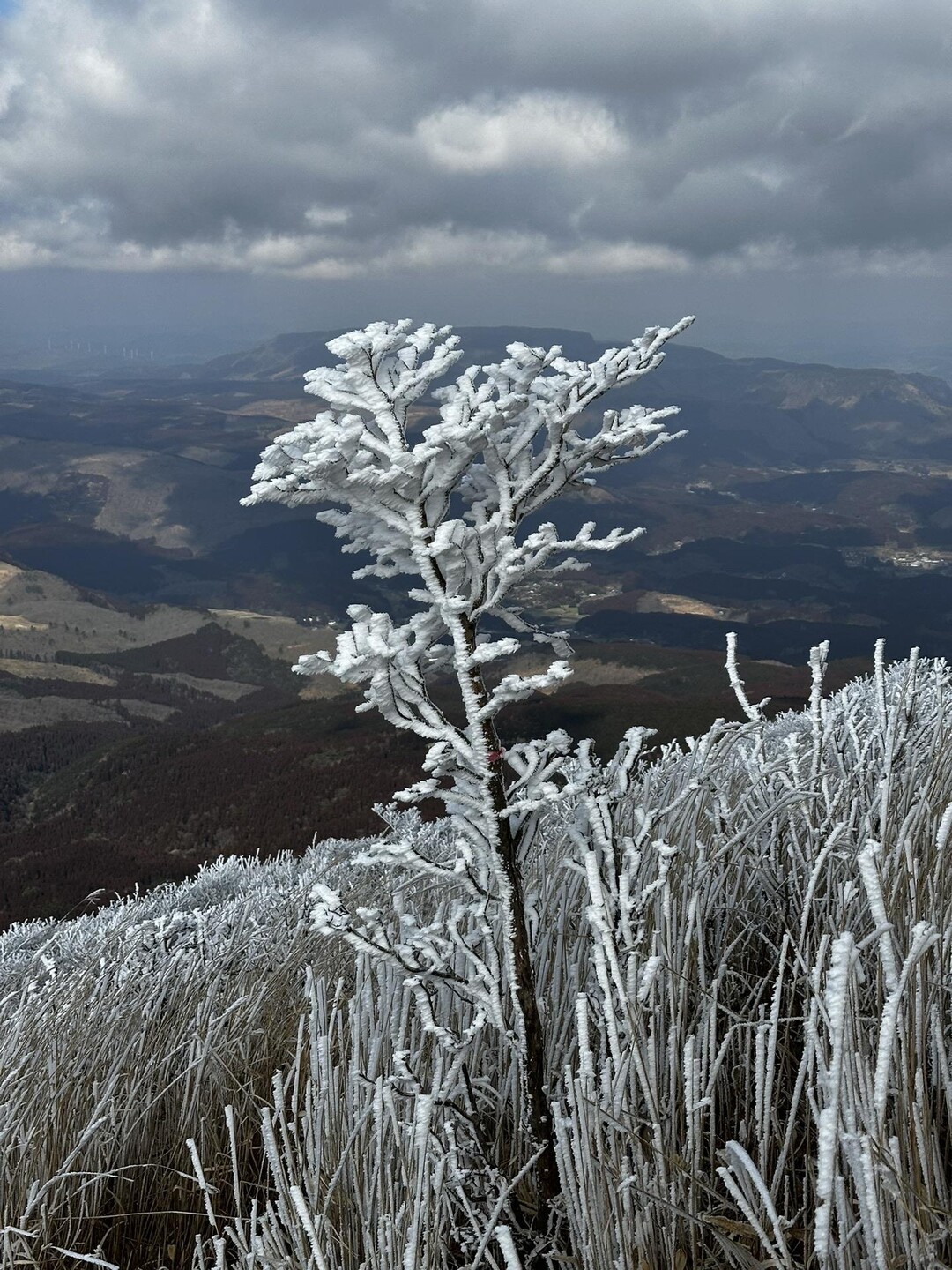 涌蓋山 / くま2000さんの涌蓋山・猟師山の活動データ | YAMAP / ヤマップ
