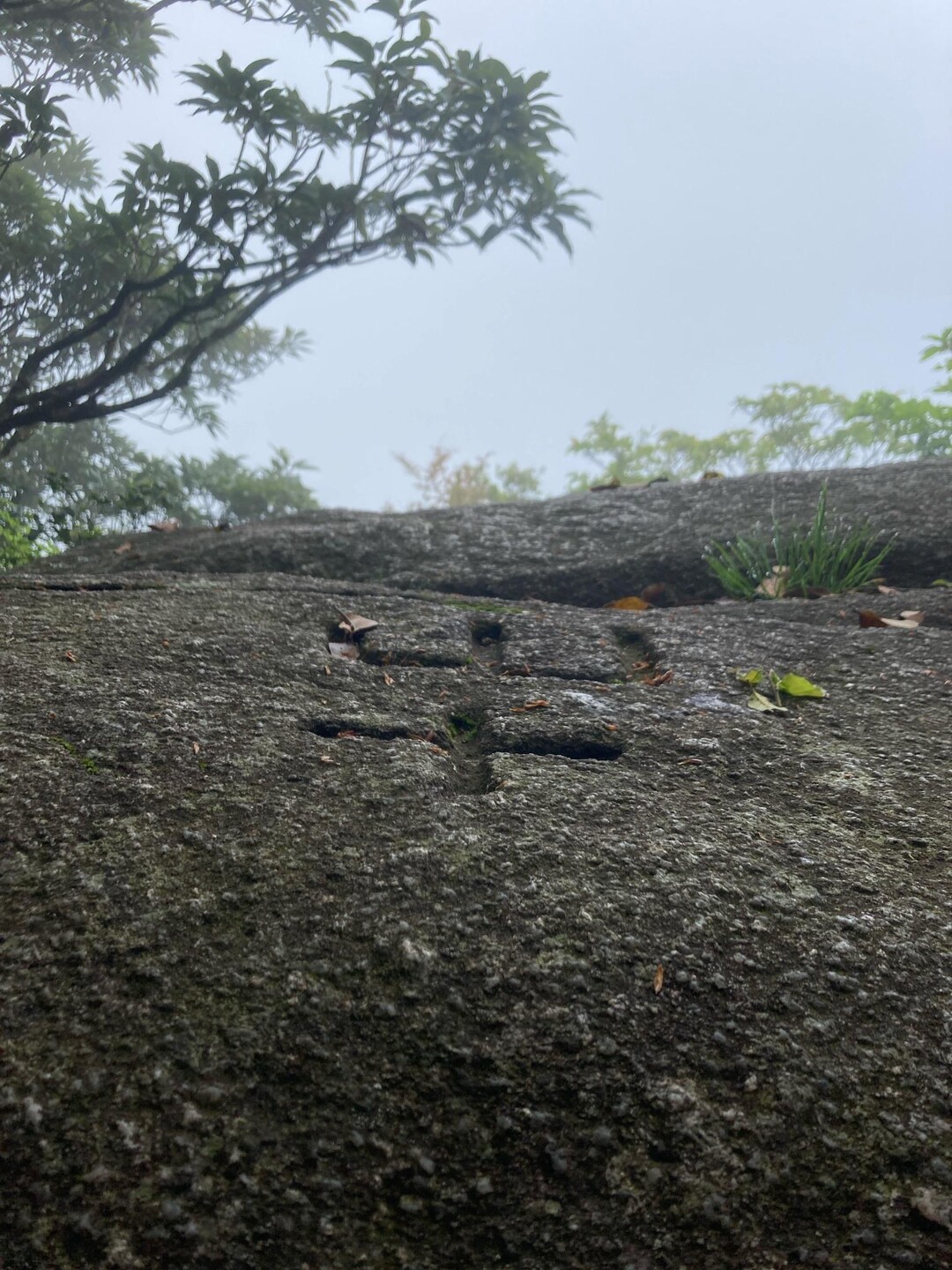 R6.4.28 宝満山 / としさんの宝満山・三郡山・若杉山の活動データ | YAMAP / ヤマップ